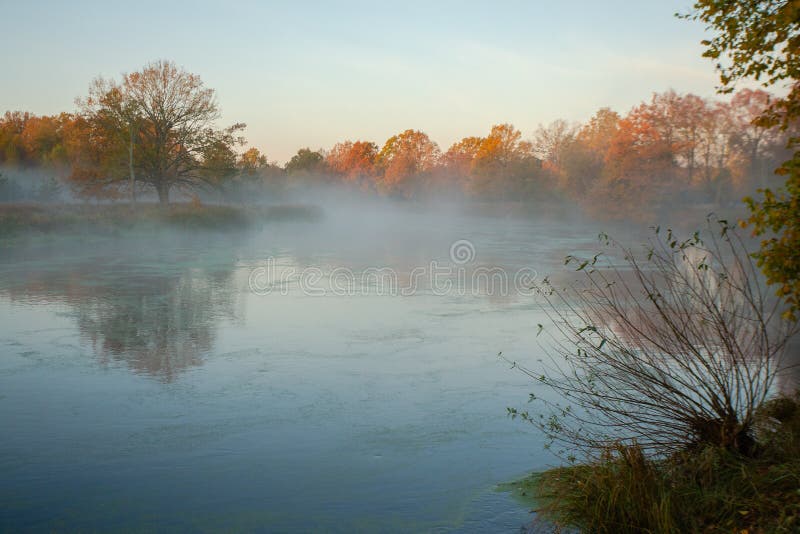 Early Morning Reeds Mist Fog and Water Surface on the River Stock Image ...