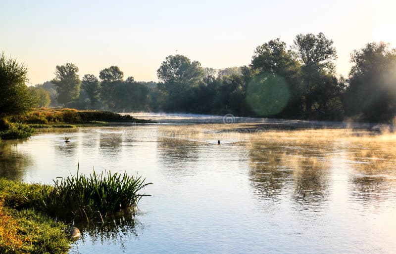 Early Morning River Scene with Mist and Trees Stock Image - Image of ...