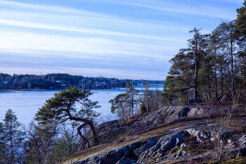 Early Morning on a Rocky Cliff with Trees Stock Photo - Image of rock ...