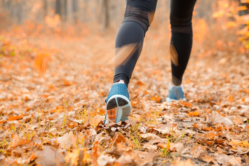 Autumn Run through Colorful Fall Leaves Stock Image - Image of : 45964163
