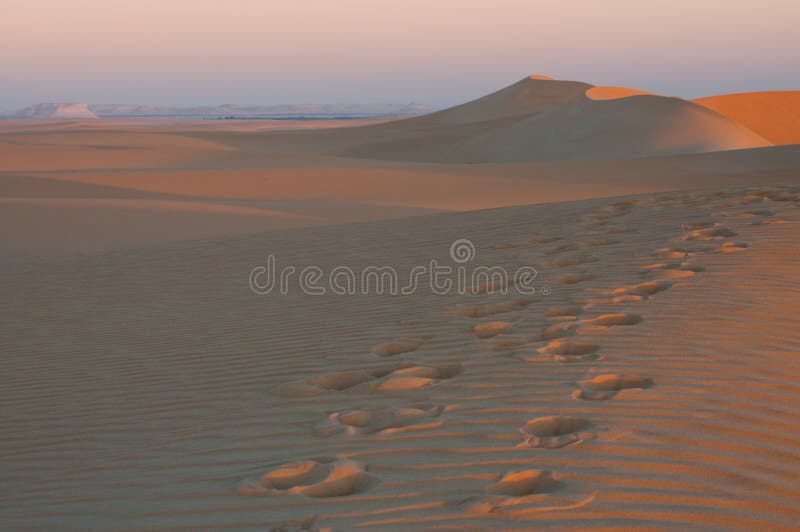 Early Morning in Sahara Desert in Egypt Stock Photo - Image of dune ...