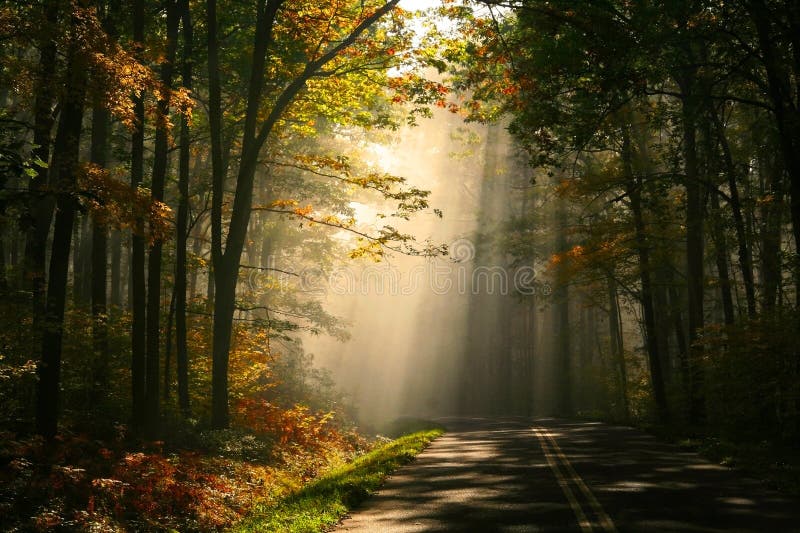 Early Morning Scene In Allegheny Stock Image - Image of fall ...