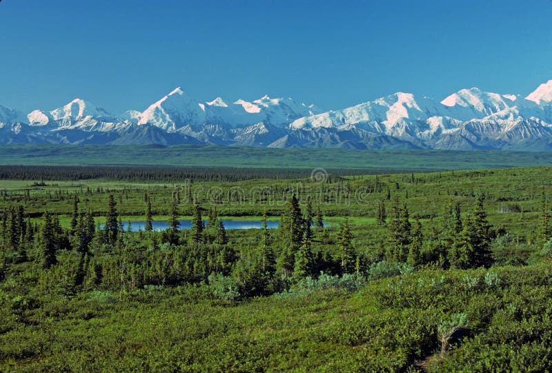 Early Morning Shadows on the Alaska Range Stock Photo - Image of ...