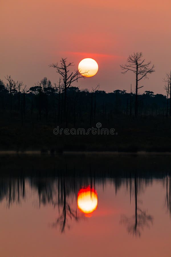 Early Morning of Silhouetted Trees with Rising Sun Reflecting on the ...