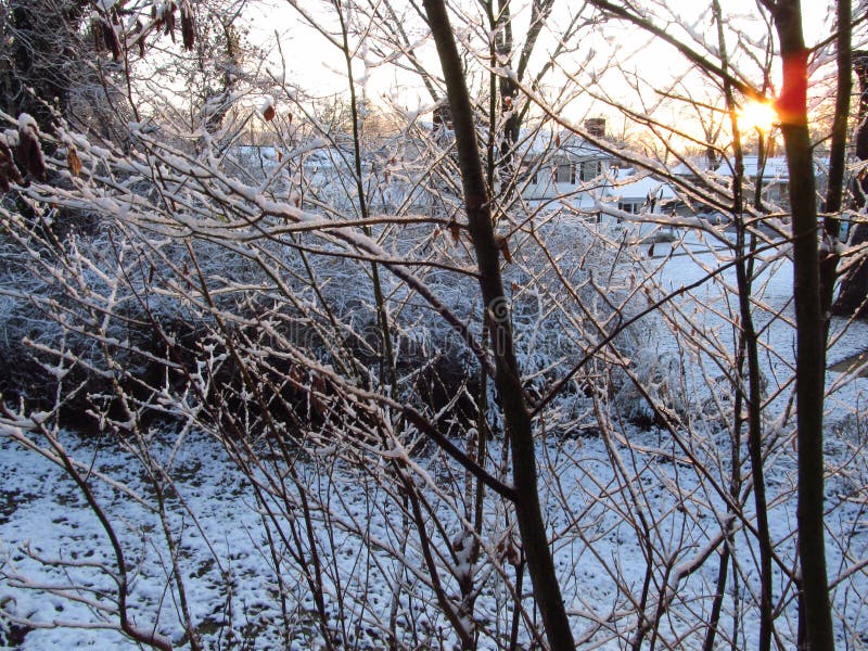 Early Morning of Snow stock photo. Image of early, tennessee - 174902864