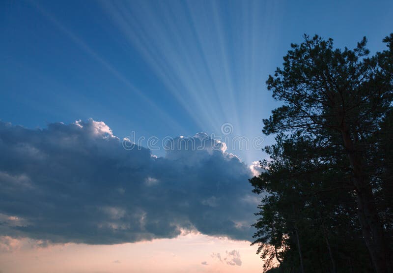 Early morning sun beams stock image. Image of sunlight - 51550703