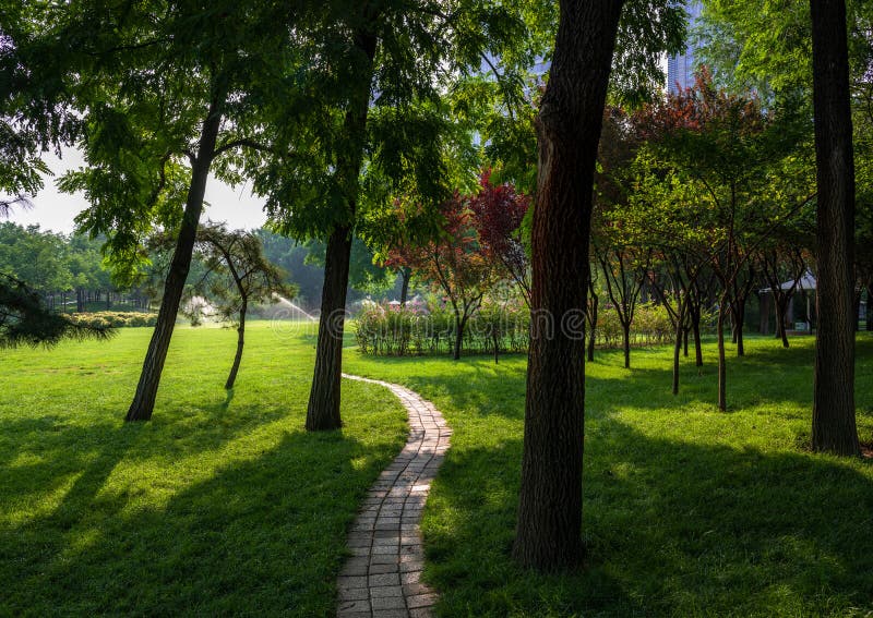 Early in the Morning, in the Sun, the Path Leading To the Lawn. Stock ...