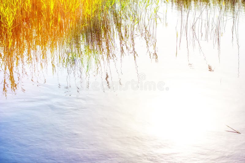 Sun Reflection in the Water Stock Image - Image of deep, reed: 132724619