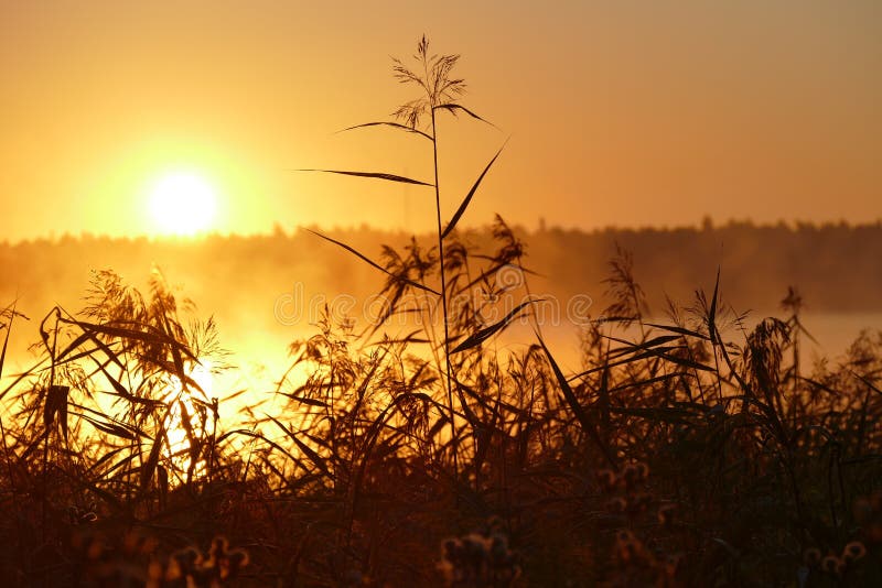 Early morning stock photo. Image of early, rising, morning - 84992088