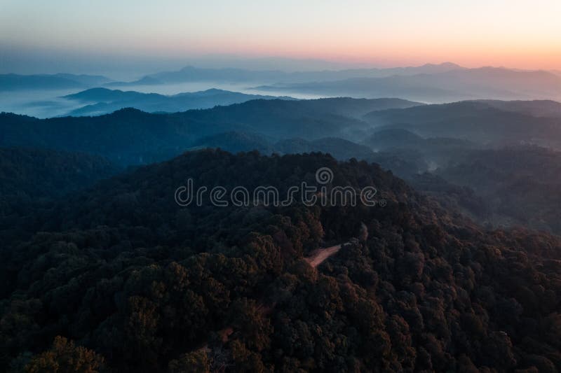 Early Morning Sunrise in the Forest Stock Photo - Image of scenery ...