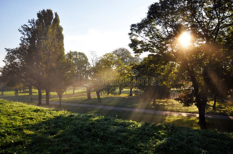 Early Morning Sunshine stock photo. Image of nature, natural - 60947978