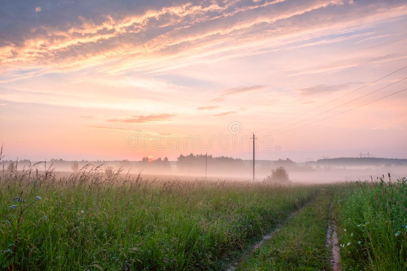 Early Morning Forest at Sunrise with Fog in Summer Stock Photo - Image ... Early Morning Forest at Sunrise with Fog in Summer Stock Photo - Image ...