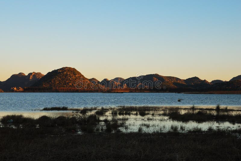 Morn in the Swamp,yunnan,china,åœ¨äº‘å —æ›²é –,ä¸­å›½ Stock Image ...