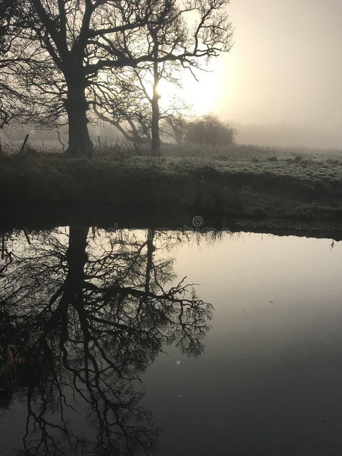 Early Morning Tree Reflection in the Canal at Dawn in Mist Stock Photo ...