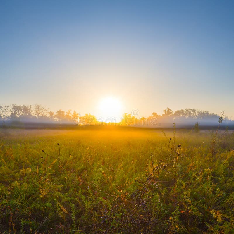 Morning Wide Prairie at the Sunrise Stock Image - Image of early ...