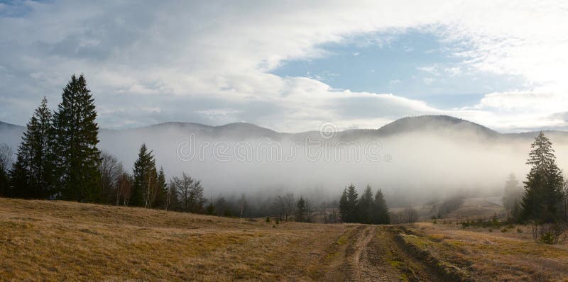 Early Mountain Spring Forest Stock Photo - Image of conservation ...