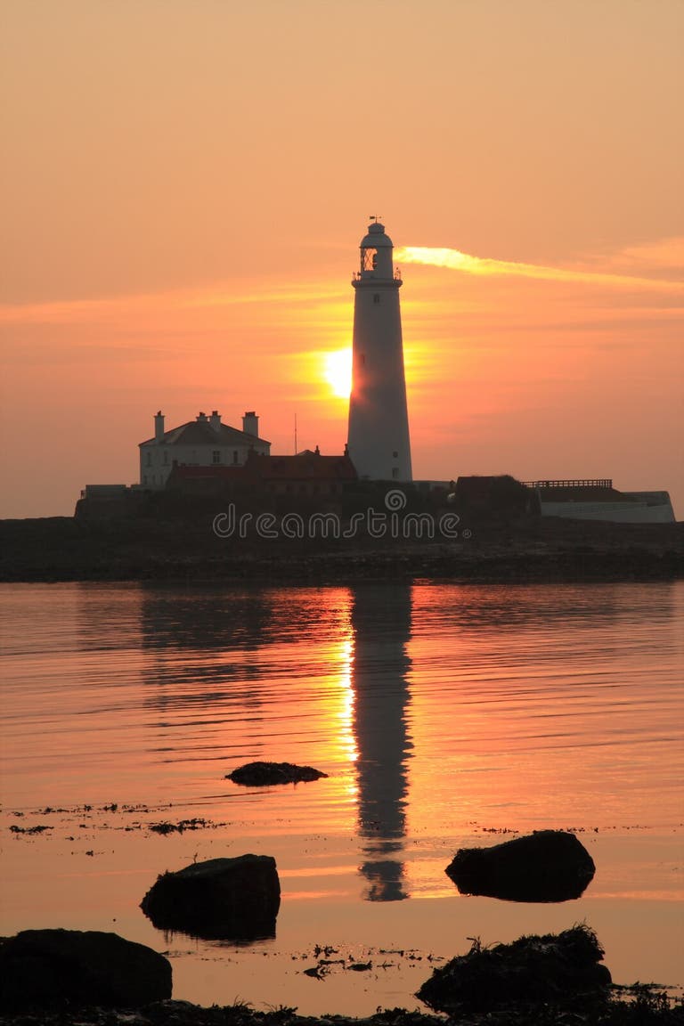 537 Early Riser Stock Photos - Free & Royalty-Free Stock Photos from ...