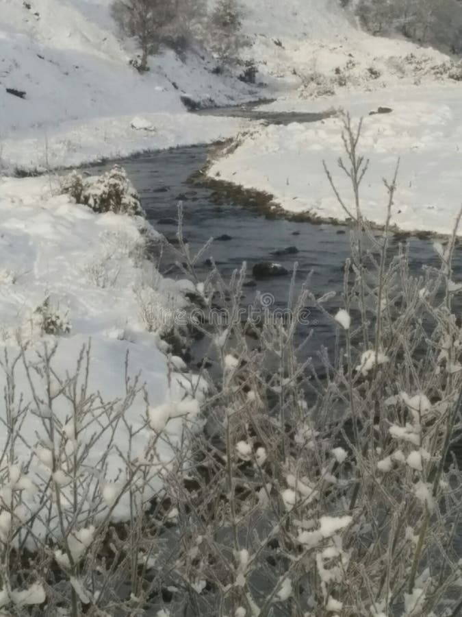 Early Snow stock photo. Image of snow, cold, crisp, early - 115809878