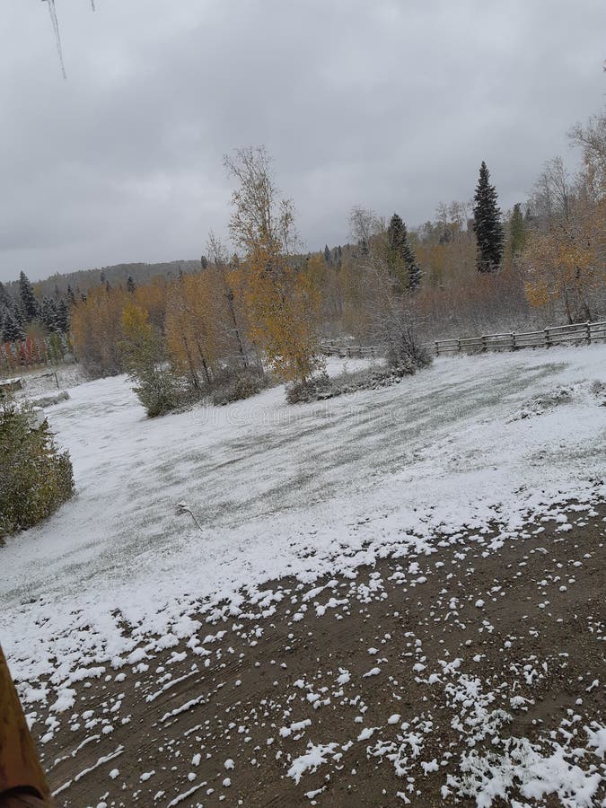 Early snow stock image. Image of snow, cold, freezing - 163436157