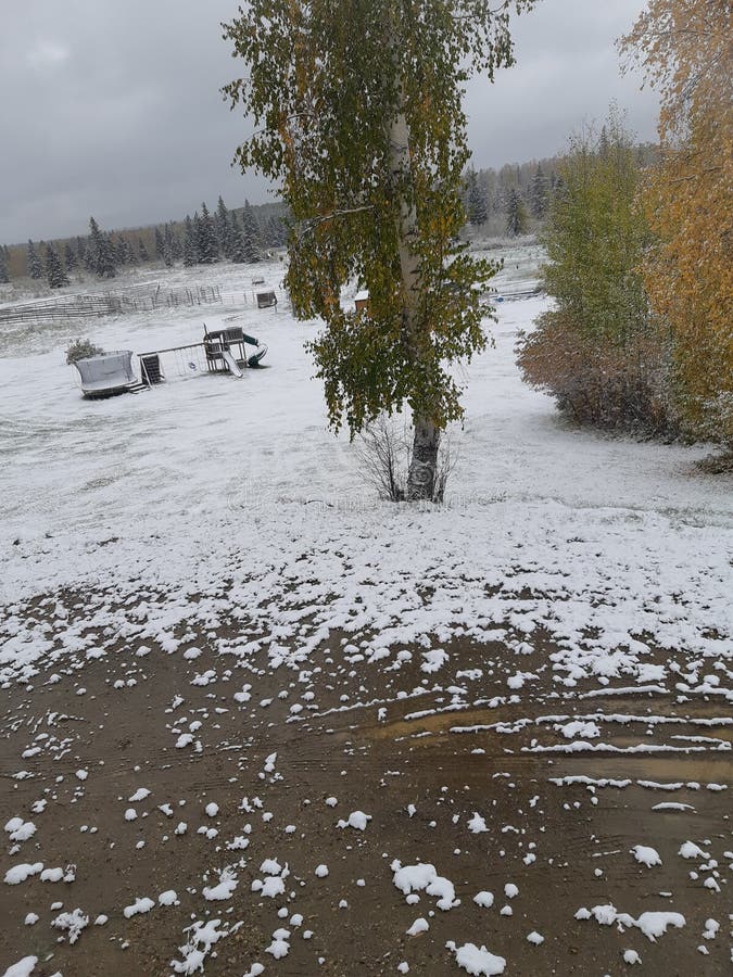 Early snow stock image. Image of landscape, snow, cold - 163436161