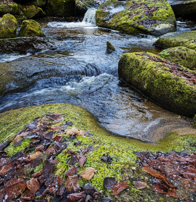 Early spring stock photo. Image of frost, cold, seasonal - 28424866
