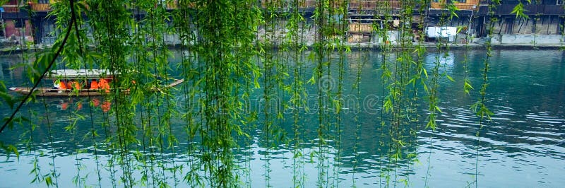 Early Spring stock image. Image of spring, asia, leaves - 5736295