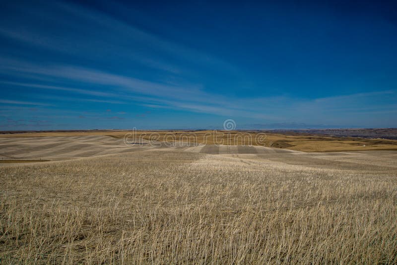 Early in the Spring, Badlands. Drumheller Alberta, Canada Stock Photo ...
