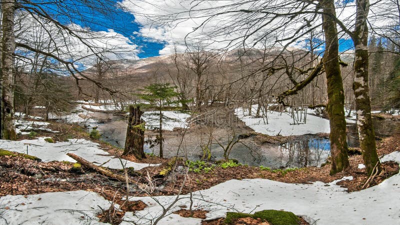 Early Spring in the Balkans Stock Photo - Image of branch, snow: 215341256