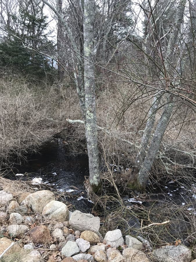 Early spring brook stock photo. Image of brook, eastern - 91477516