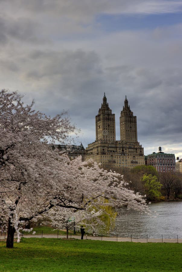 Central Park, New York City after Rain Storm Stock Photo - Image of ...