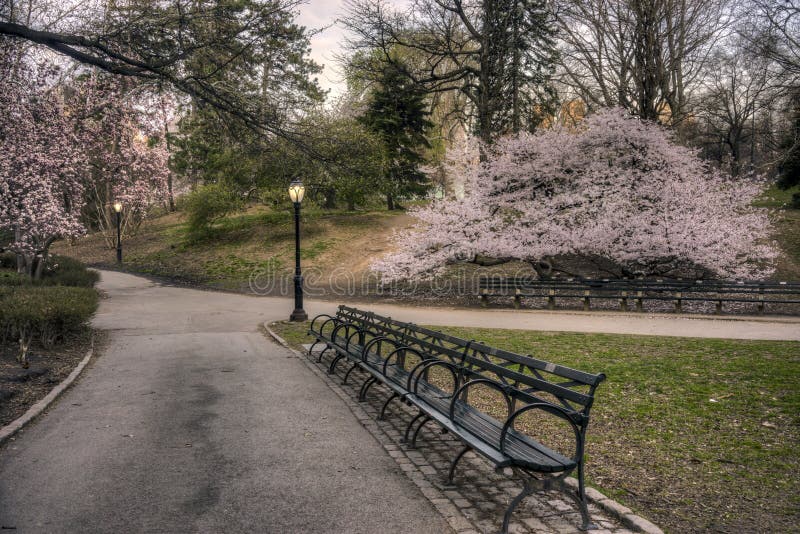 Early Spring in Central Park, New York City Stock Photo - Image of park ...