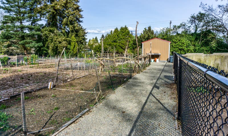 Early Spring Community Garden 3 Stock Image - Image of planting ...