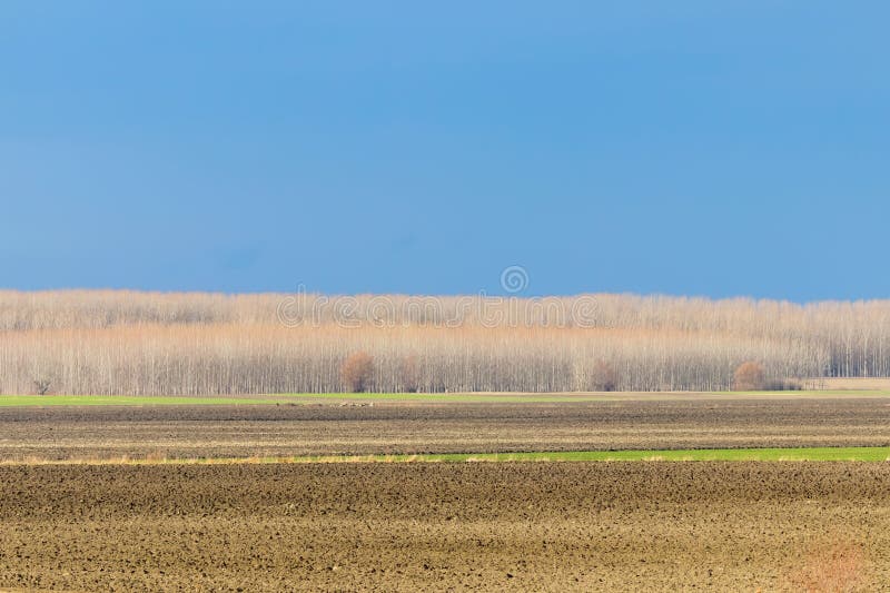 Early Spring Countryside Landscape, Early Spring Sunny Day in a Field ...