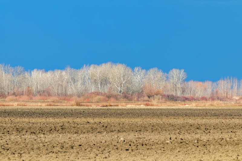 Early Spring Countryside Landscape, Early Spring Sunny Day in a Field ...