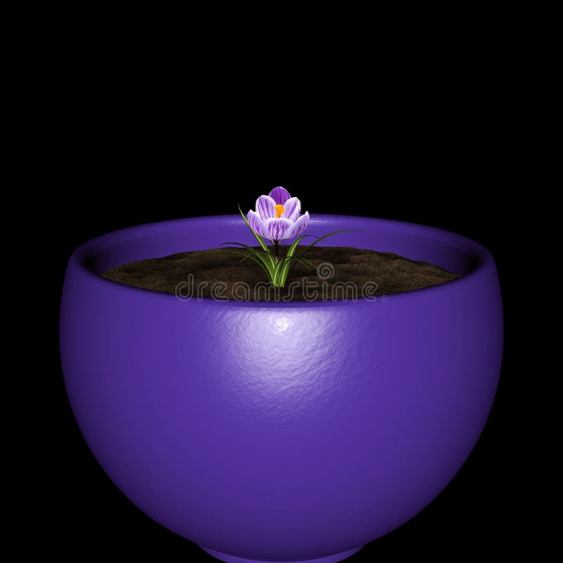 Early Spring. stock photo. Image of fresh, blooming, nature - 50758878