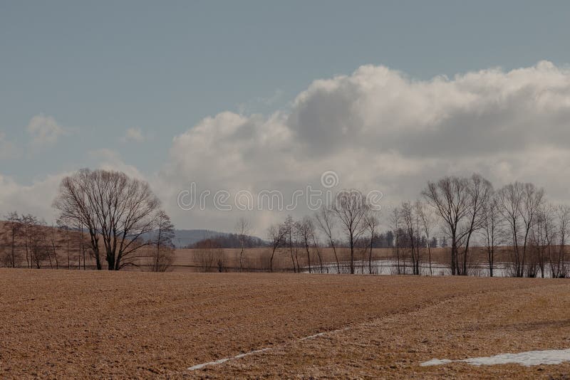 Early Spring on a Field with Silhouetted Trees. Countryside Neutral ...