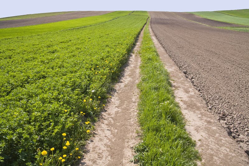 Early spring fields stock photo. Image of fresh, agriculture - 30499690