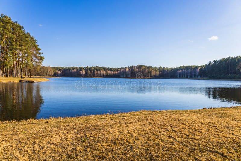 Early Spring Forest Lake Landscape with Clear Blue Sky Stock Image ...