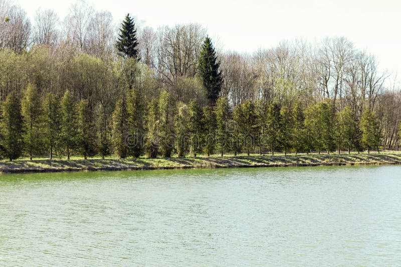 Early Spring in the Forest Near the Lake Stock Photo - Image of edges ...