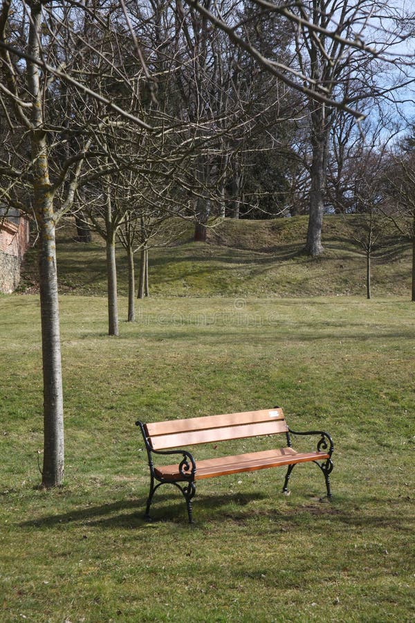 Early Spring Garden with a Bench Stock Photo - Image of woodland, plant ...