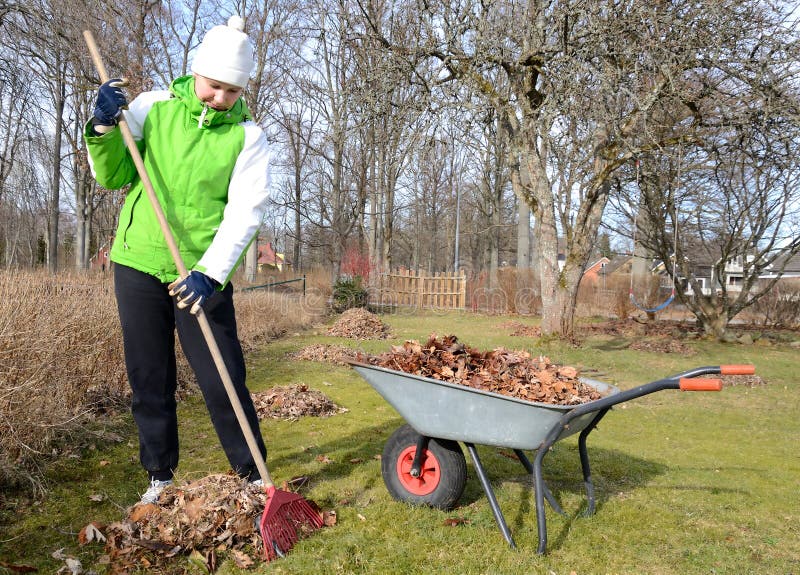 Early Spring Garden Cleaning Stock Image - Image of duty, gardening ...