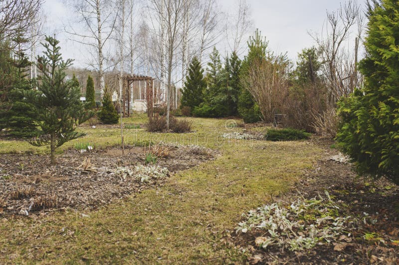 Early Spring Garden View with Conifers and Shrubs. Stock Image - Image ...