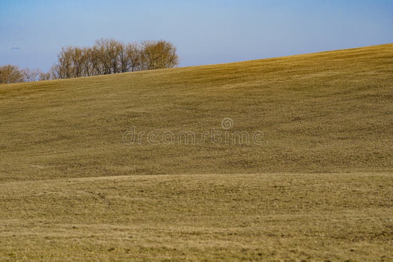 Early Spring Hilly Meadow Trees Sky Background Stock Photos - Free ...