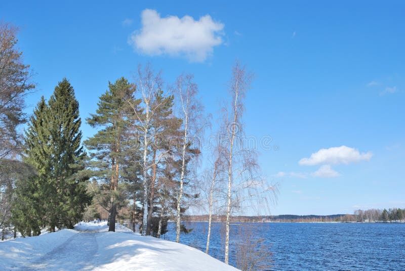 Early Spring in Imatra, Finland Stock Image - Image of firs, finland ...
