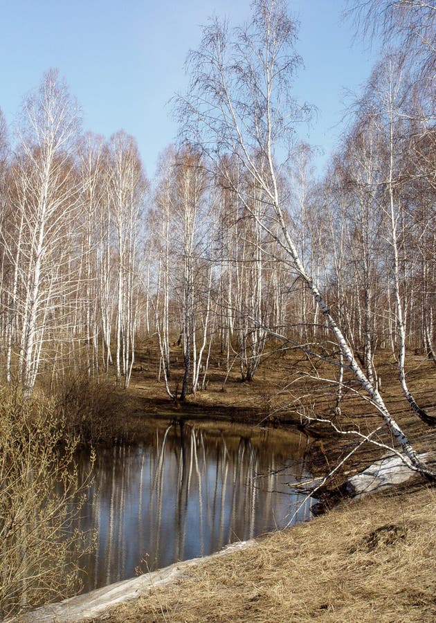 Early Spring, Lake, Blue Sky Stock Image - Image of trees, white: 10446957