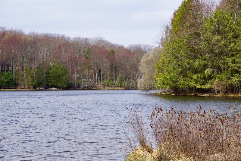 Early spring at the lake stock photo. Image of green - 90696828
