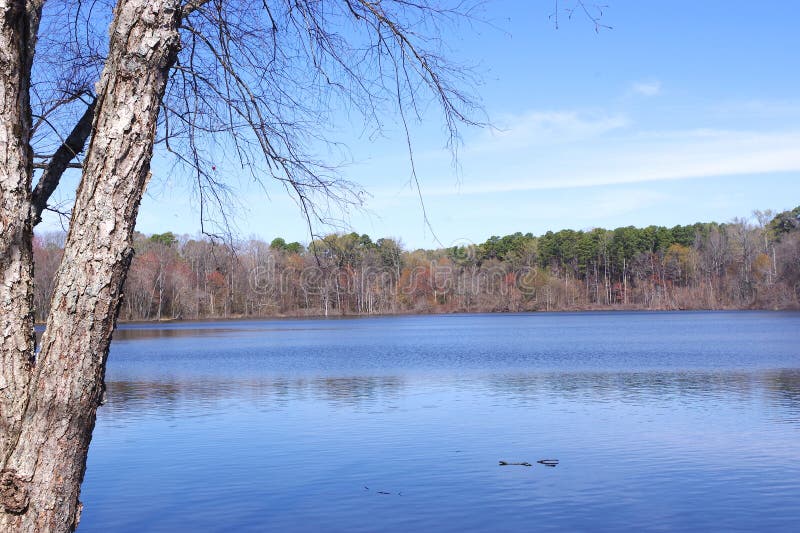 Early Spring Lake Reflections Stock Photo - Image of hike, foliage ...