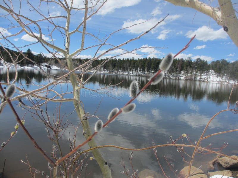 Spring. stock image. Image of travel, beauty, glory - 100811255