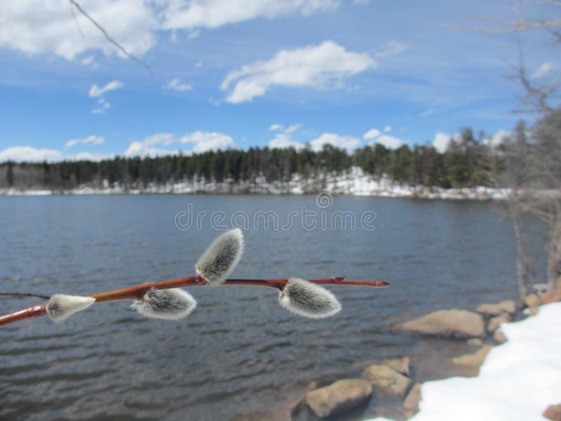 Spring. stock image. Image of travel, fluffy, clear - 100811291