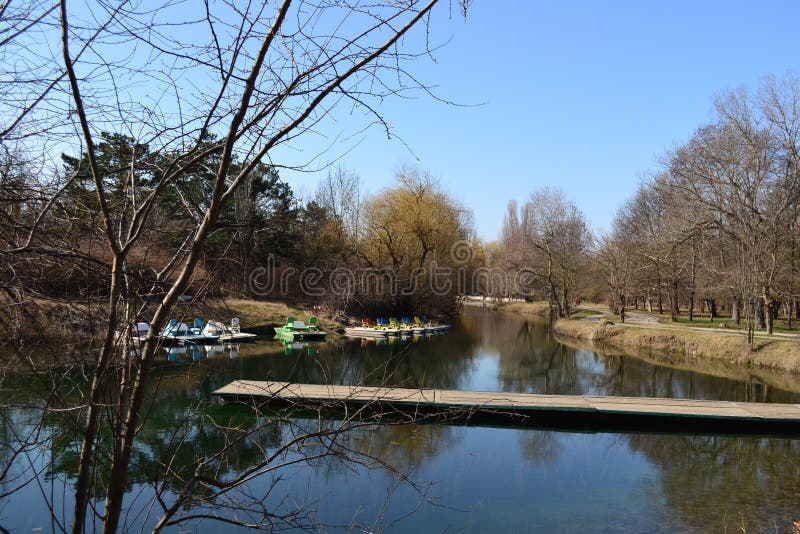 Early spring on the lake stock photo. Image of tenderness - 215172208